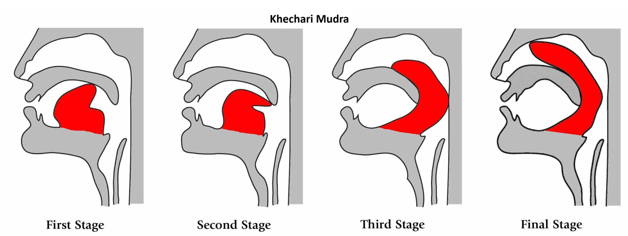 Khechari Mudra - Karuna Yoga Vidya Peetham Bangalore