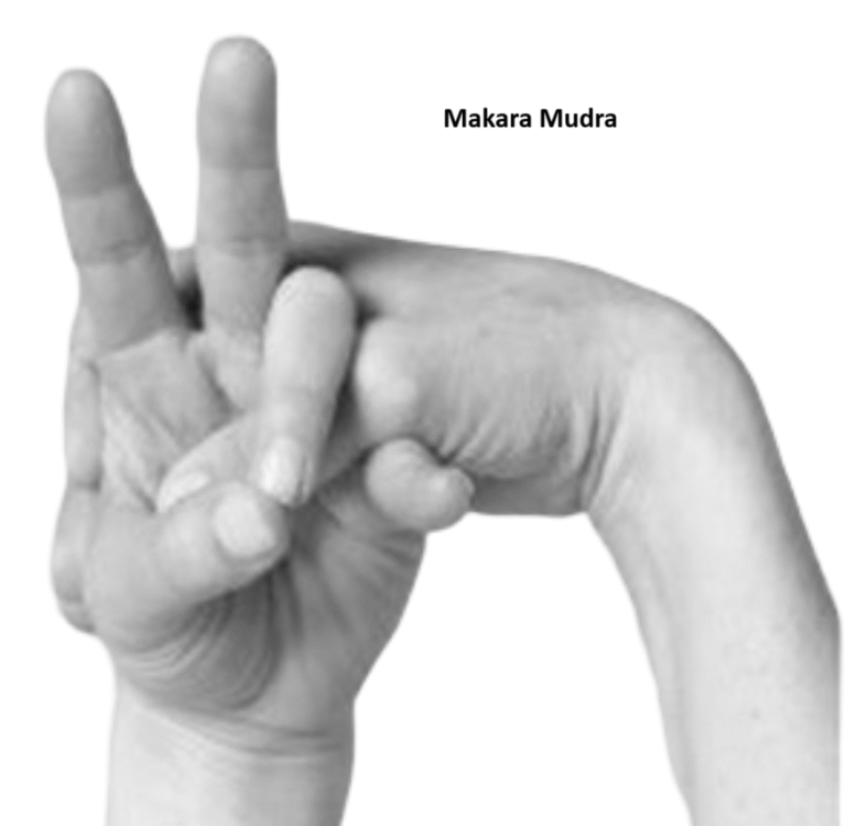 Makara Mudra - Karuna Yoga Vidya Peetham Bangalore