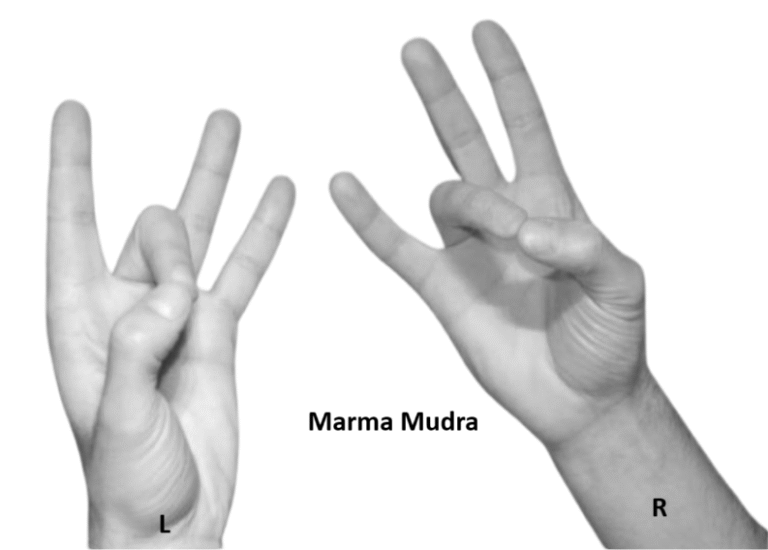 Marma Mudra - Karuna Yoga Vidya Peetham Bangalore