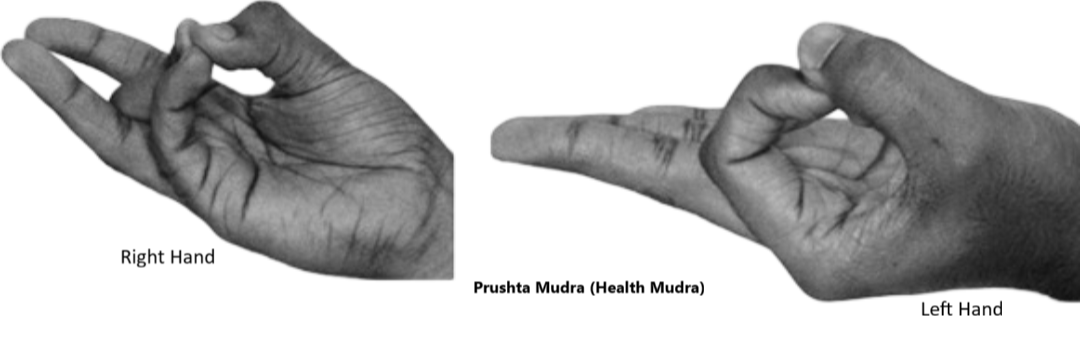 Prushta Mudra (Health Mudra) - Karuna Yoga Vidya Peetham Bangalore
